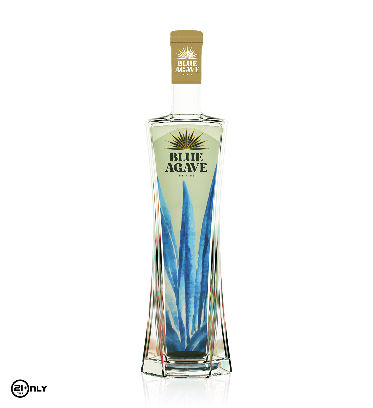 Blue Agave – Vibe 24 Jam Medan